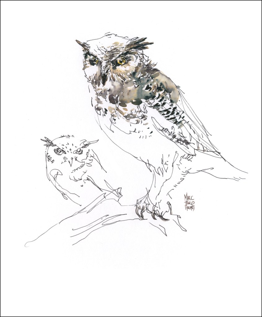 Drawing Birds from Life at “24 Hrs of Science” | Citizen Sketcher