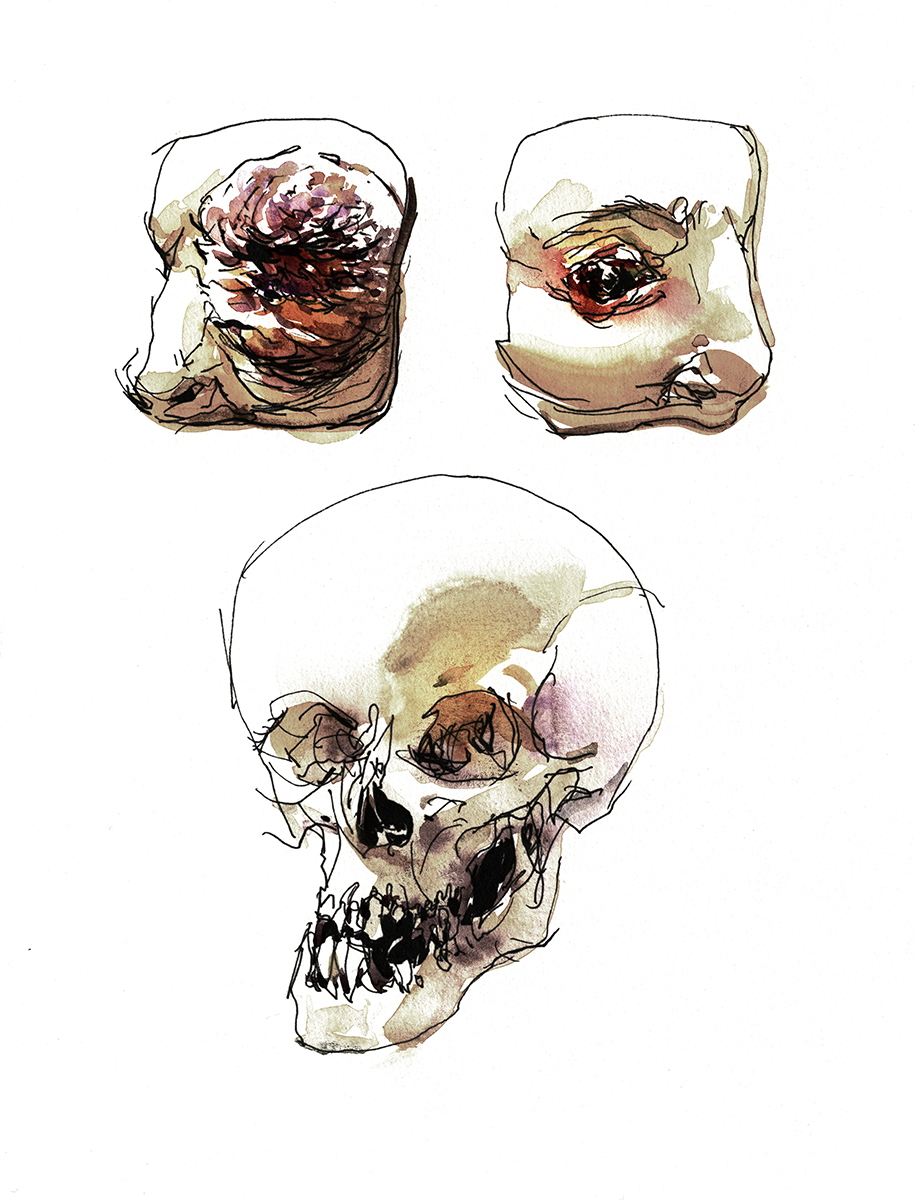 Sketching human frailty at the Mütter Museum Philadelphia | Citizen ...