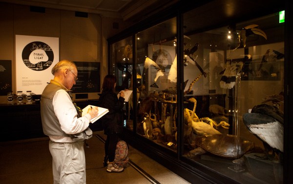 Sketching Museum Montages with Taxidermy Animals | Citizen Sketcher